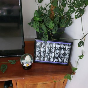 THE BEAR Inspired Birthday Cards Let It Rip, Carmy Berzatto, Yes Chef ...