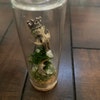 Crown Bone Jar Terrarium Rodent Skull and Bones Natural Stones - Etsy