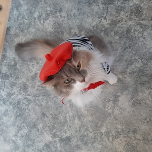 Complete French Cat Outfit Cat Beret Ascot and Striped Shirt - Etsy