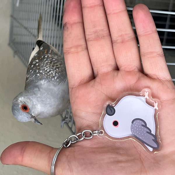 Ringnecked Dove Acrylic Bird Breed Keychain | Cartoon Kawaii Art Double ...
