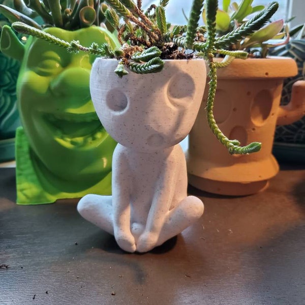 Kodama Japanese Tree Spirit Planter Succulent Air Plant - Etsy