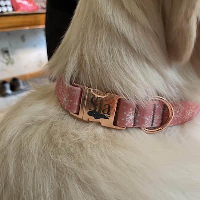 Cowgirl Chic Dog Collar Western Collar Customized Pet Collar Country ...