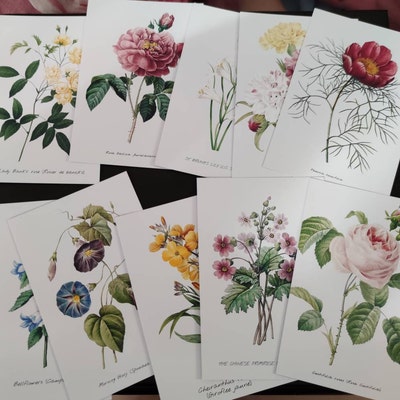 Set of 10 NEW Flowers Postcards set 3 for Postcrossing ...