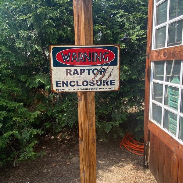 Dinosaur Enclosure Metal Warning – T-rex & Raptor Room Decor, Wall Art ...