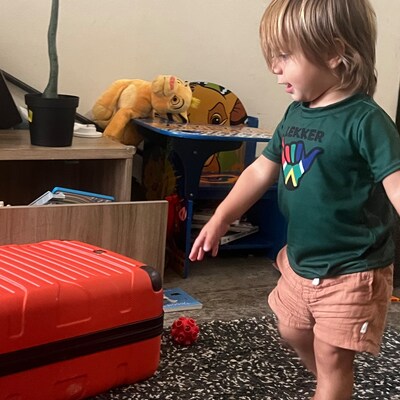 Springbok Face Sticker South Africa Flag Distressed Hier Kom Die Bokke ...