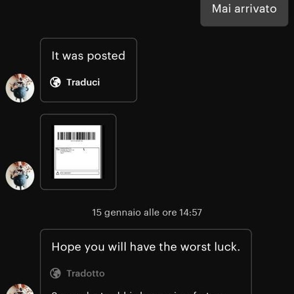 Crow - CORVUS - Kraai , LUXURY Mini Dome - Heketa - Etsy