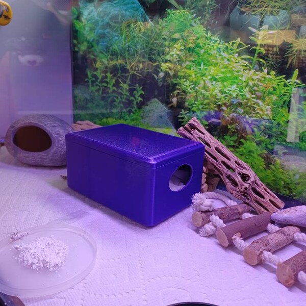 Leopard Gecko Moist Hide / Lay Box (front Entrance) - Etsy