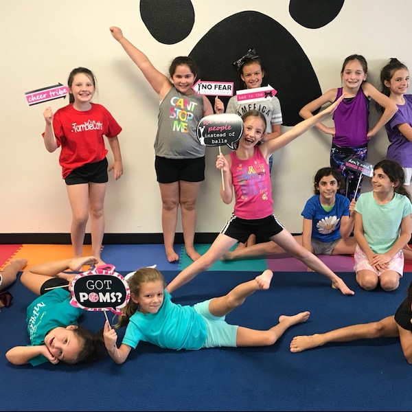Funny We’ve Got Spirit - Cheerleading Photo Booth Props - Birthday ...