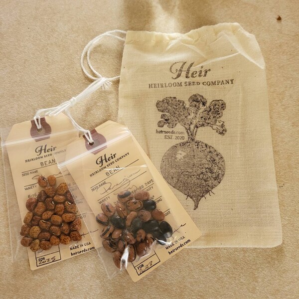 Cherokee Purple Tomato - Heirloom 10 Seeds - Etsy