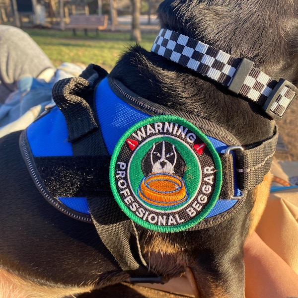 3-inch Round Dog Patch: "anti-social Dog" Text | Embroidered Patch for ...