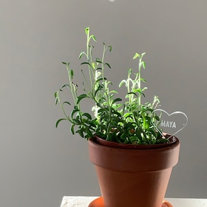 Set of 3 Plant Tags, Custom Plant Tags, Plant Labels, Acrylic Plant ...