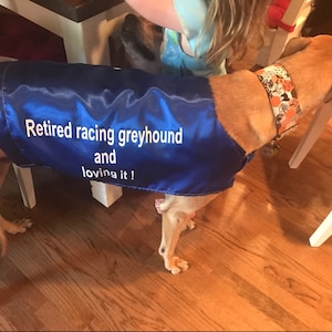 Racing Jackets Race Coats Greyhound Jackets Greyhound | Etsy