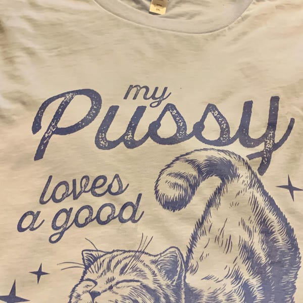 My Pussy Loves a Good Stretch Cat Shirt - Bold, Inappropriate T-shirt ...