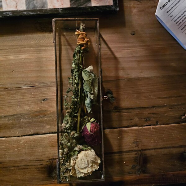 The LETTER BOX 10x3x5 Tall Clear Glass Display Box Made to Hold 10 ...