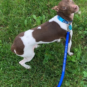 Custom Personalized Embroidered Dog Leash - Etsy