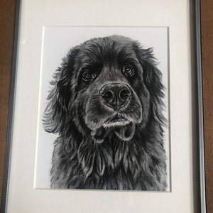 Bijon Art Bijon Drawing ORIGINAL Drawing Bijon Sketch Dog - Etsy