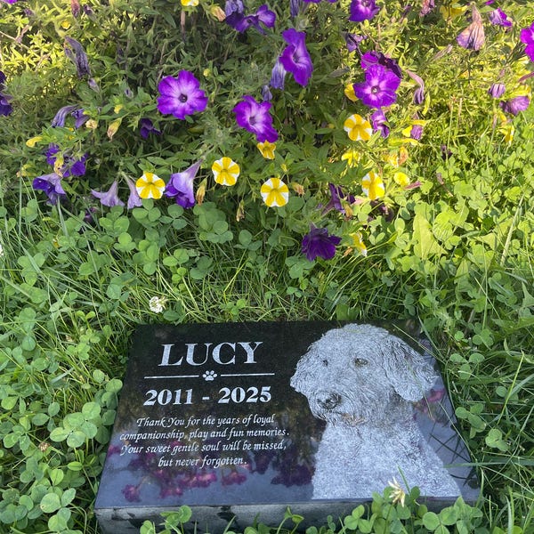 Custom Pet Memorial Stone for Dogs | Honor Your Terrier, Retriever, Pug ...