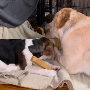 2 Pack of Aloha Crunch Bites. Churpi Yak Himalayan Puffs - Etsy