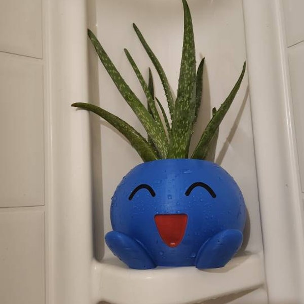 Pokemon Oddish Planters/ Nostalgia Planter/ Snake Plant/ Happy Face ...