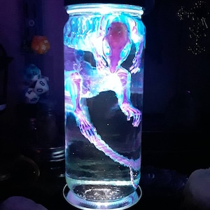 Round LED Display Base for Wet and Diaphonized Specimens - Etsy