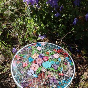 ELDER FUTHARK RUNES, Full Set of Floral Rune Stones, Real Flowers ...