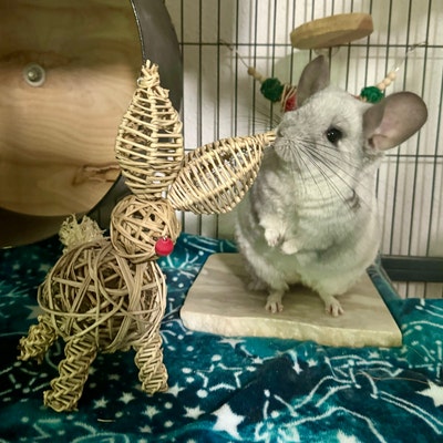 Ultimate Chew Toy Collection. Whimsy's Menagerie Original Design Chew ...