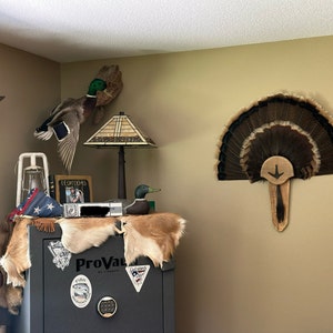Classic Turkey Fan Mount - Etsy