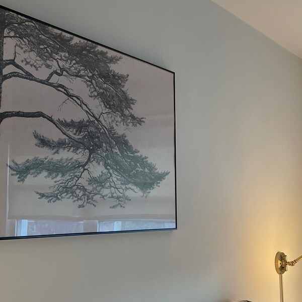 Pine Tree Branch Print, Vintage Tree Drawing Enhanced, Printable Tree ...