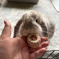 Bunny Waffle Treat All Natural Banana Treat for Rabbits - Etsy