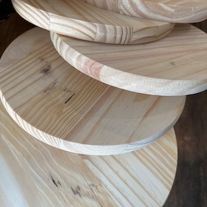 10 Pack/1thick/ 18'' in Diameter/blank Wood Rounds/wood Rounds 18 Inch ...