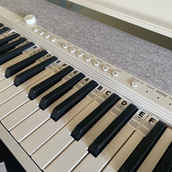 The Piano Rake (piano Guide) | Learn Notes Instantly | Ultimate ...