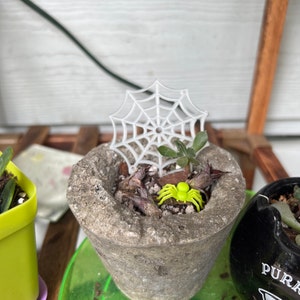 Mini Wizard House 7 Wizard Shack Fairy Garden - Etsy