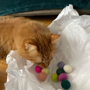 Catcorn Pom Pom Cat Toy Popcorn 10 Toy Set - Etsy