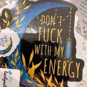 Shark Shirt Cottagecore Shirt Shark Species Tee Great White - Etsy