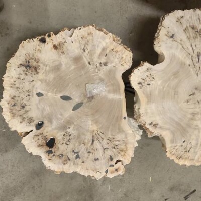 Poplar Burl Wood Slab 30x29x1.96 In Dry Slice for Table - Etsy