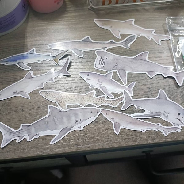 Shark Stickers - Animal Sticker Pack - Etsy