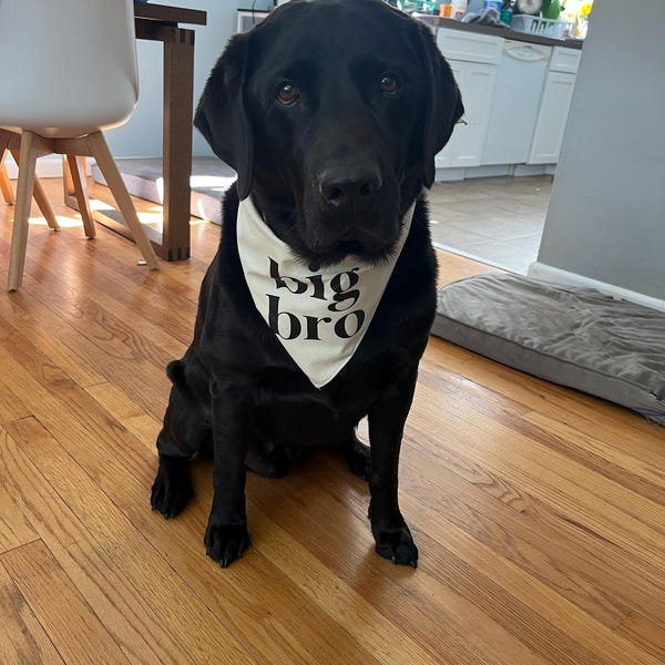 The Big ONE Shirt, Surfer Themed Party, Wave, First Birthday, Bday Boy ...