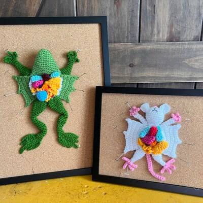 Crochet Dissected Frog PDF PATTERN ONLY Amigurumi Wall - Etsy Singapore
