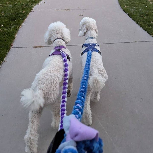 Custom Handmade Fleece and Minky Dog Leash - Etsy