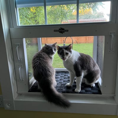 Catio DIY Digital Plan Window Box for Cats - Etsy