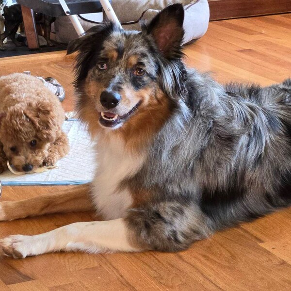 Personalized Boat Compass Sweatshirt, Custom Compass Shirt for Men ...