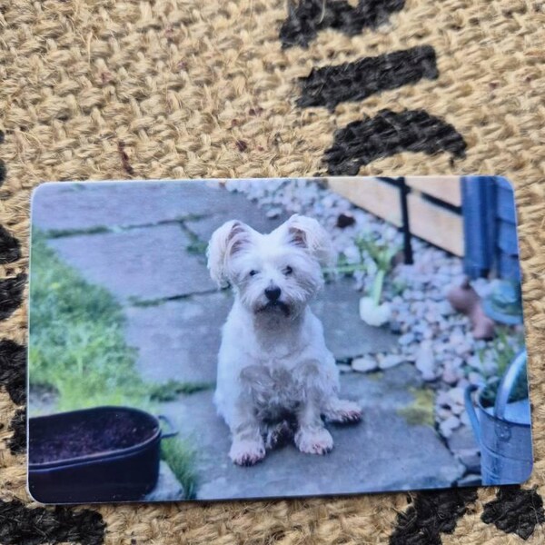 Personalised Photo & Message Plastic Card Keepsake - Etsy