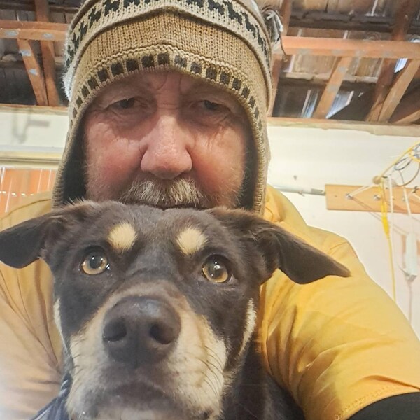 Green Military Alpaca Sweater, Peruvian Sweater, Unisex Sweater ...