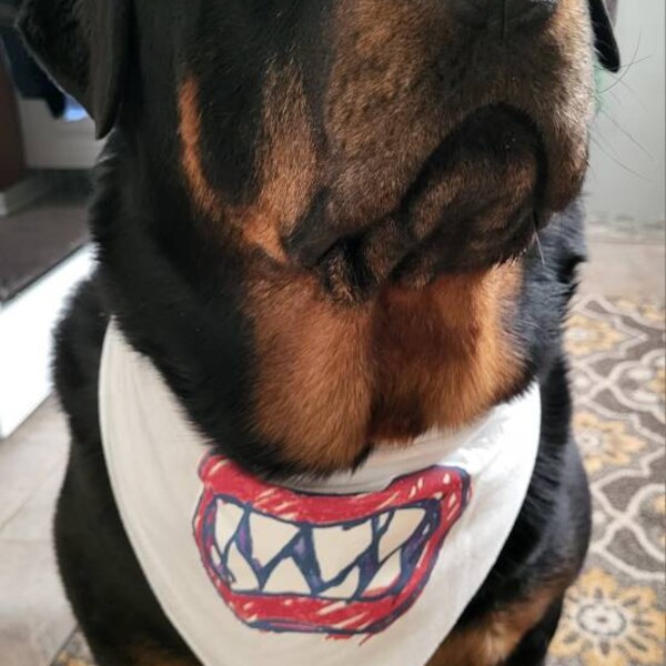 Bowser Jr. Classic Bib/mask - Etsy