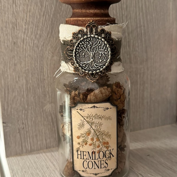 Botanical Specimen Apothecary Jars, Flower Potion Bottles, Botanical ...