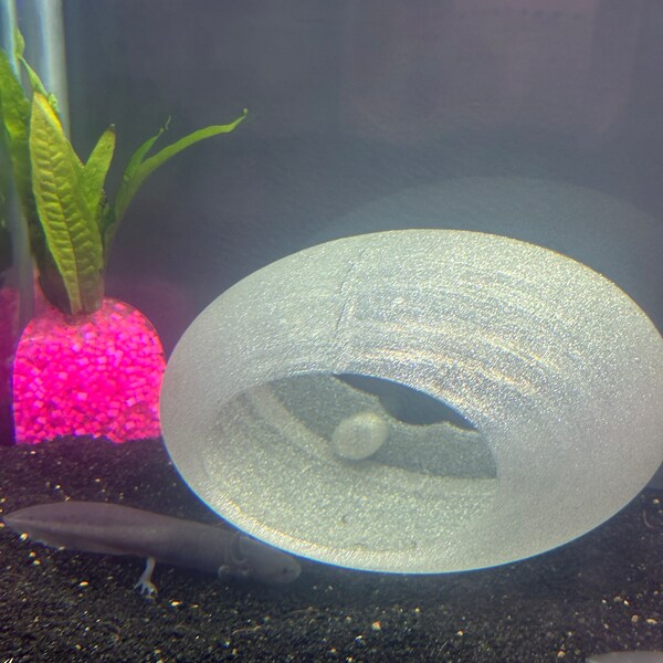 Aquarium Plant Holder (stacked Stones) - Etsy