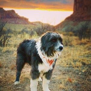 Curriculum Maps for Homeschooling Pre-k-10th Visual Lesson Planning ...