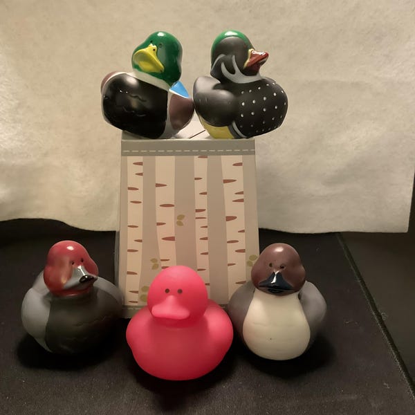 Pumpkin Mini Rubber Ducks - Set of 5 With Lollipop and Gift Box ...