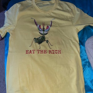 Monarch Butterfly Life Cycle Vinyl Sticker Packs - Etsy