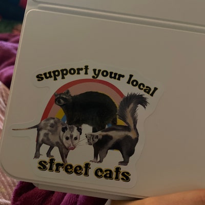 Bestie, Please Let Me Merge Bumper Sticker Cute Bumper Stickers Girly ...